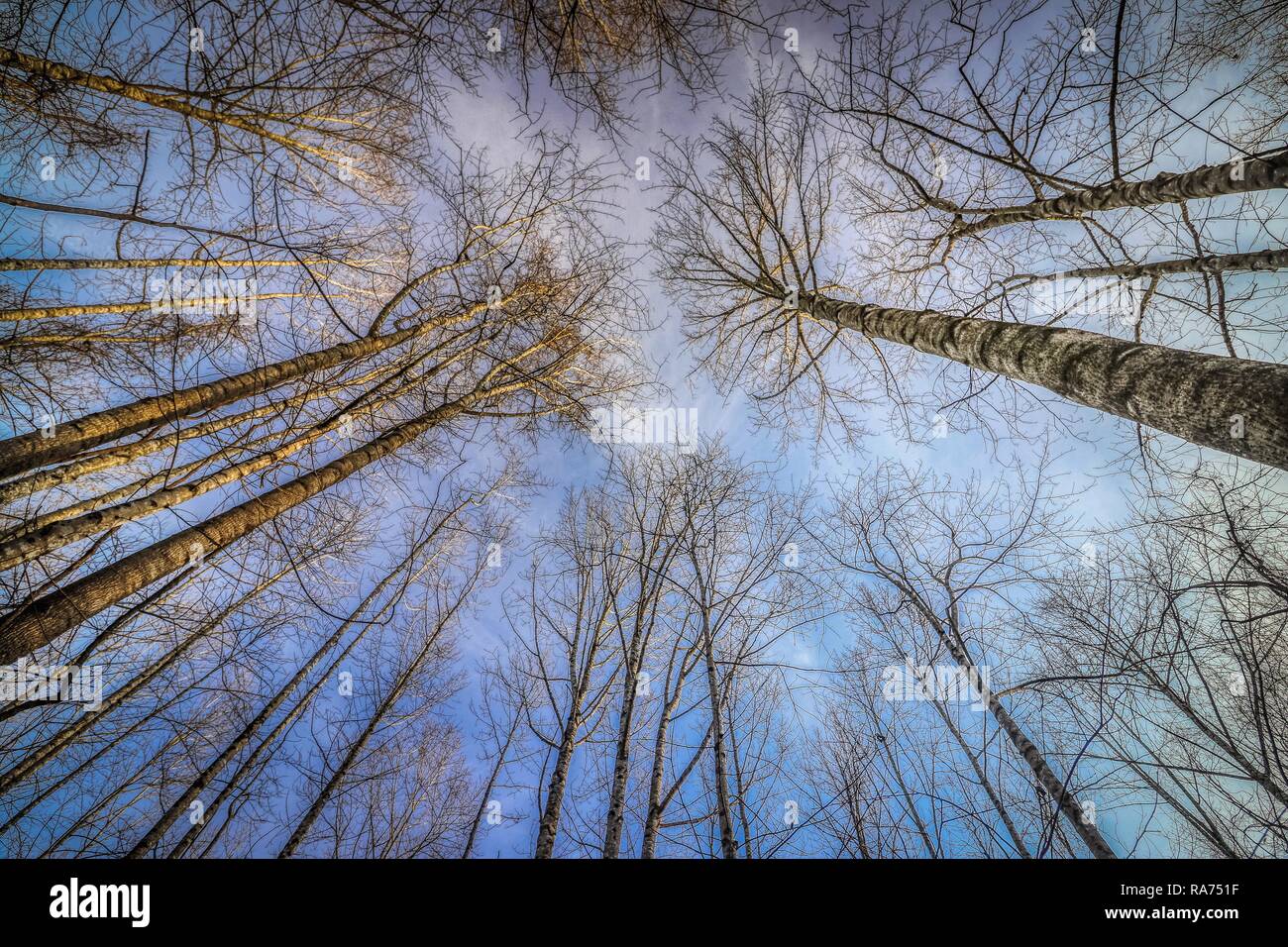 Michigan Upper Peninsula Snow High Resolution Stock Photography and ...