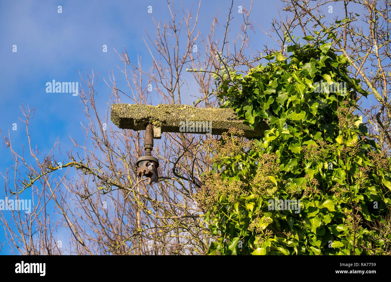 Vintage concrete overgrown lamp post Stock Photo - Alamy