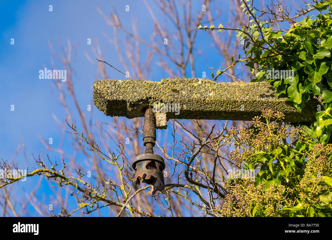 Vintage concrete overgrown lamp post Stock Photo - Alamy