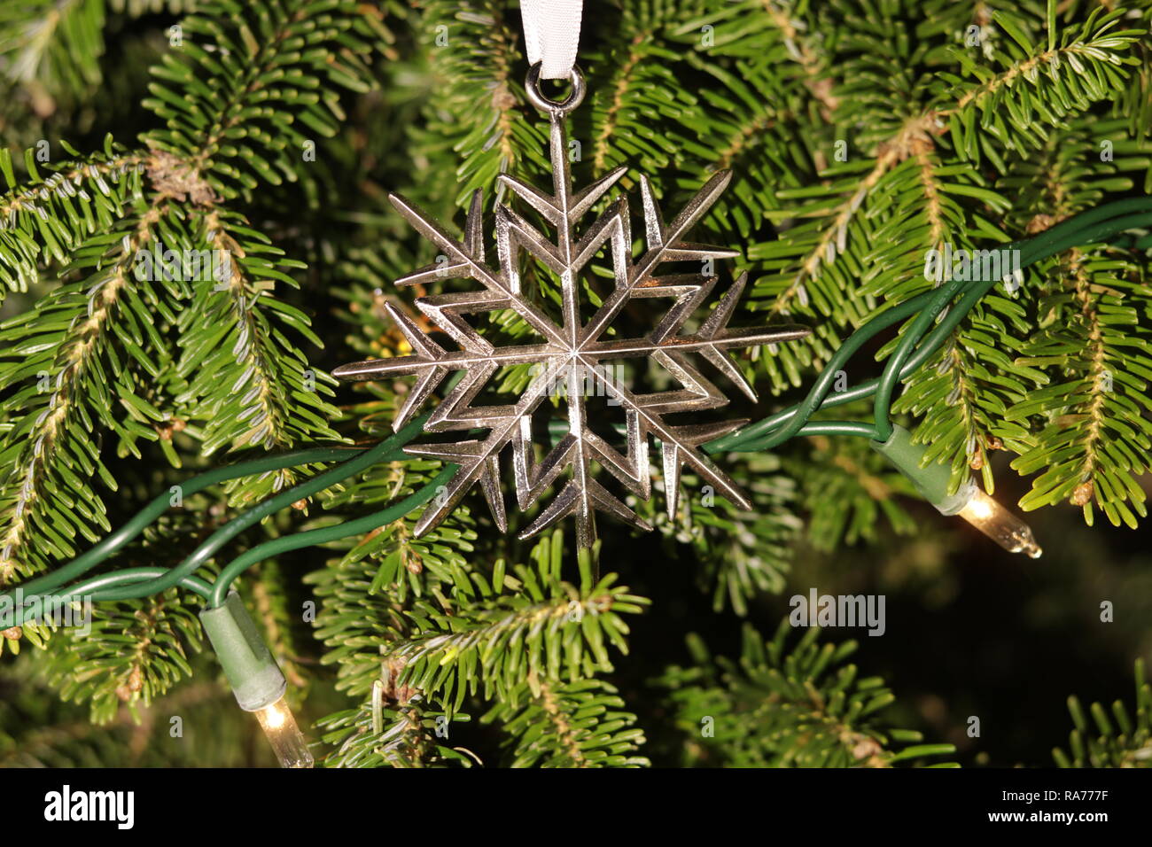Real tree hi-res stock photography and images - Alamy
