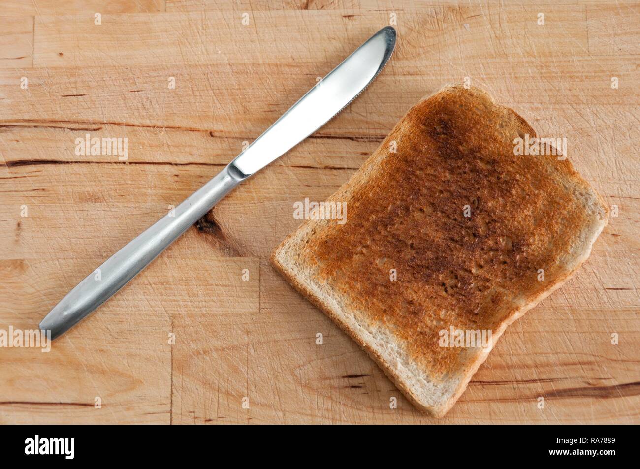 Slice of plain dry toast Stock Photo - Alamy