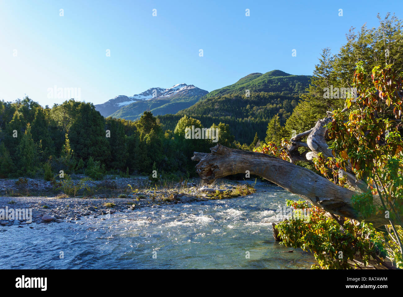 Spring Sunset at Los Alerces National Park, Patagonia, Argentina Stock ...
