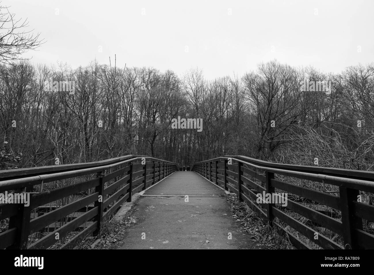 The Faberwald park in the South of Nuremberg. Bavaria, Germany Stock ...
