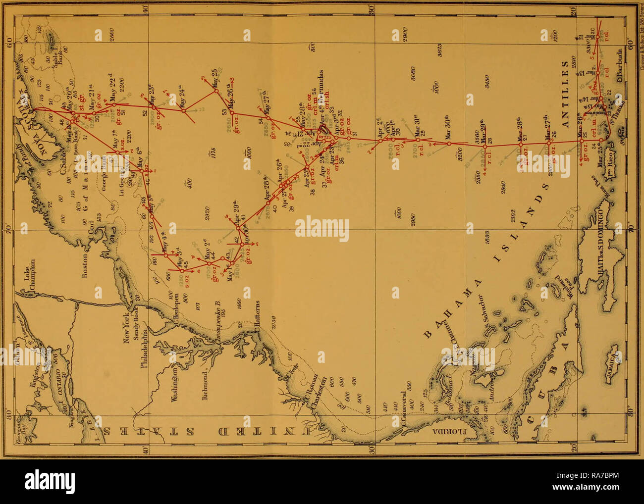 "The voyage of the "Challenger" : the Atlantic : a preliminary account ...