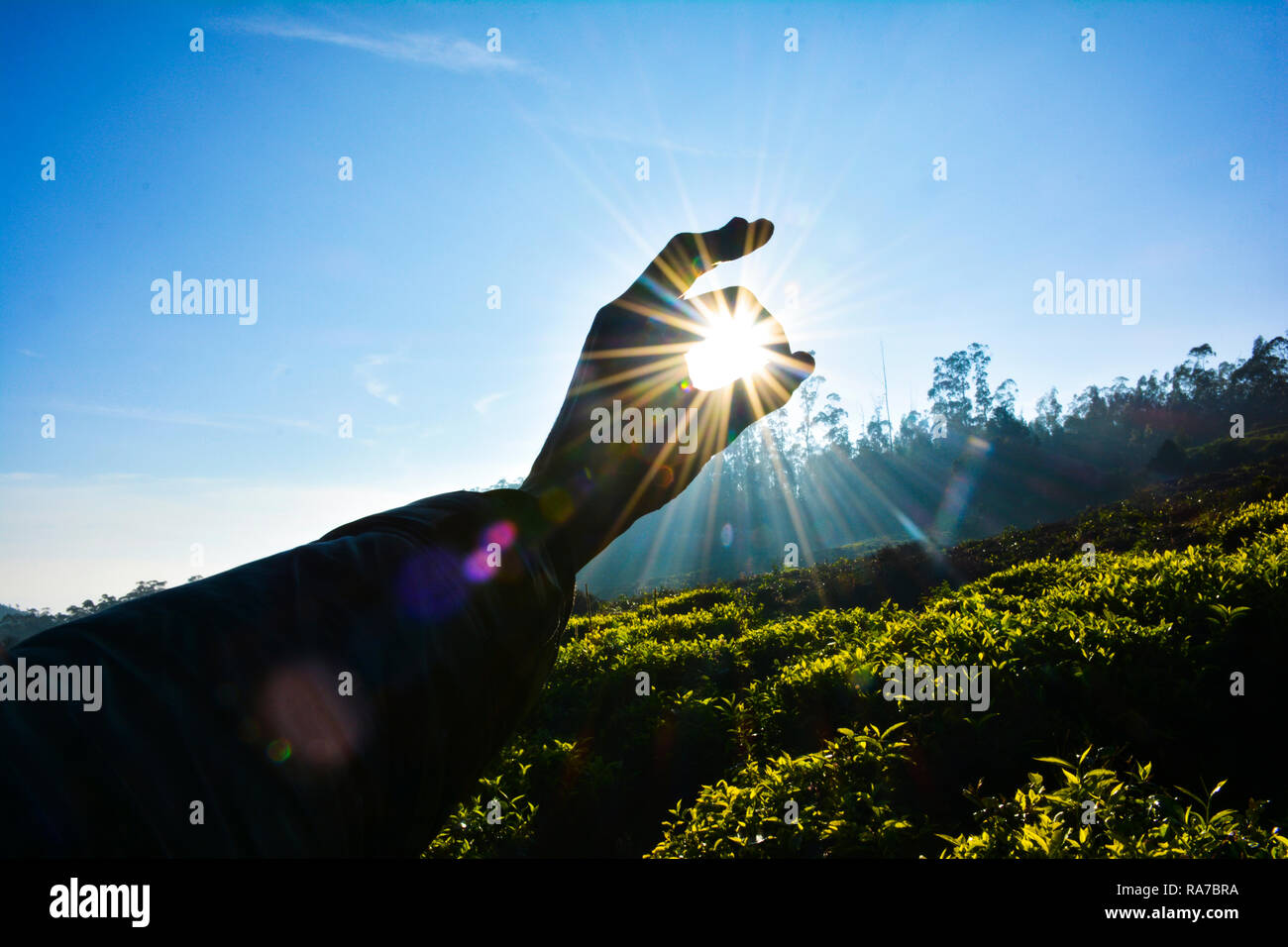 Hand raised towards sky encircling sun Stock Photo - Alamy