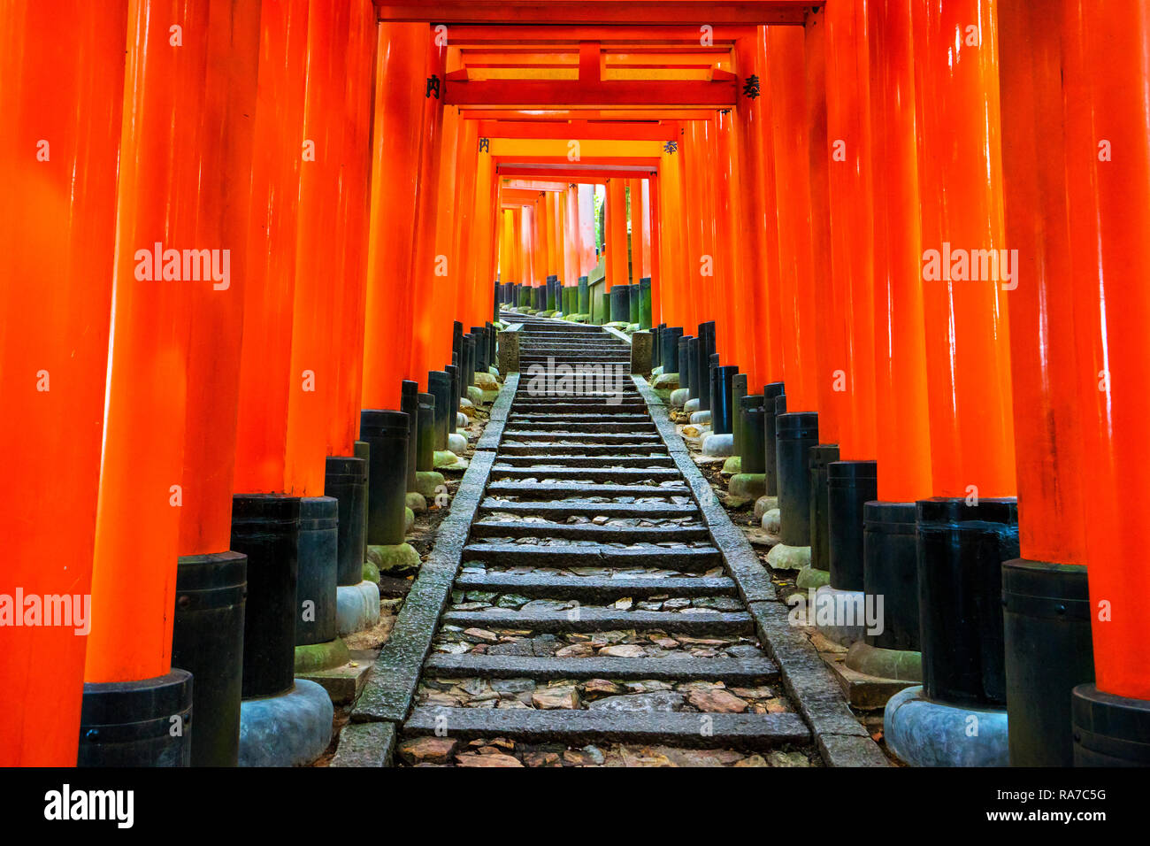 Senbon Torii at Fushimi Inari Shrine. Fushimi Inari Shrine is the ...
