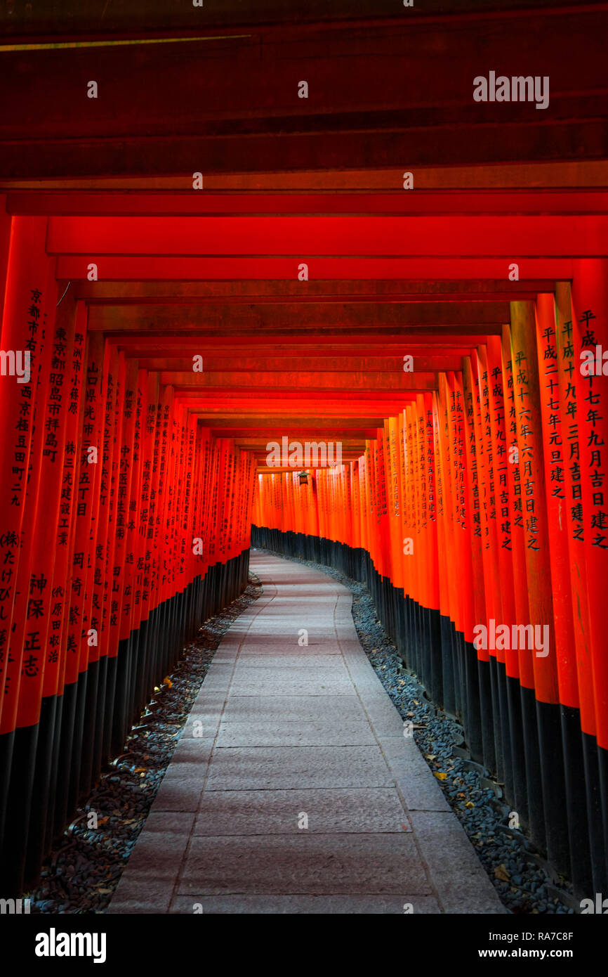 Senbon Torii at Fushimi Inari Shrine. Fushimi Inari Shrine is the ...