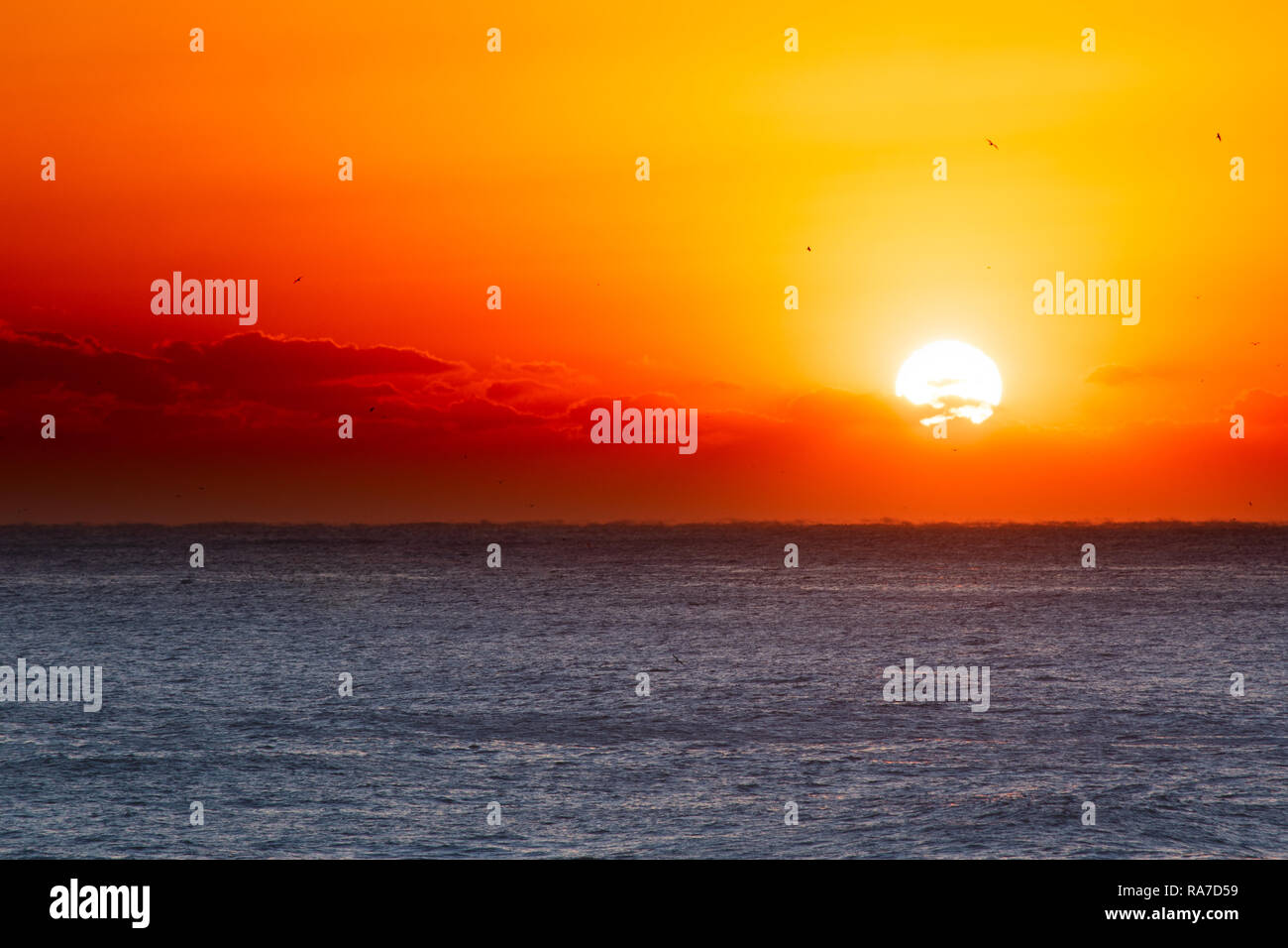 Beautiful sunrise over the ocean. South Korea at the sunrise of the ...