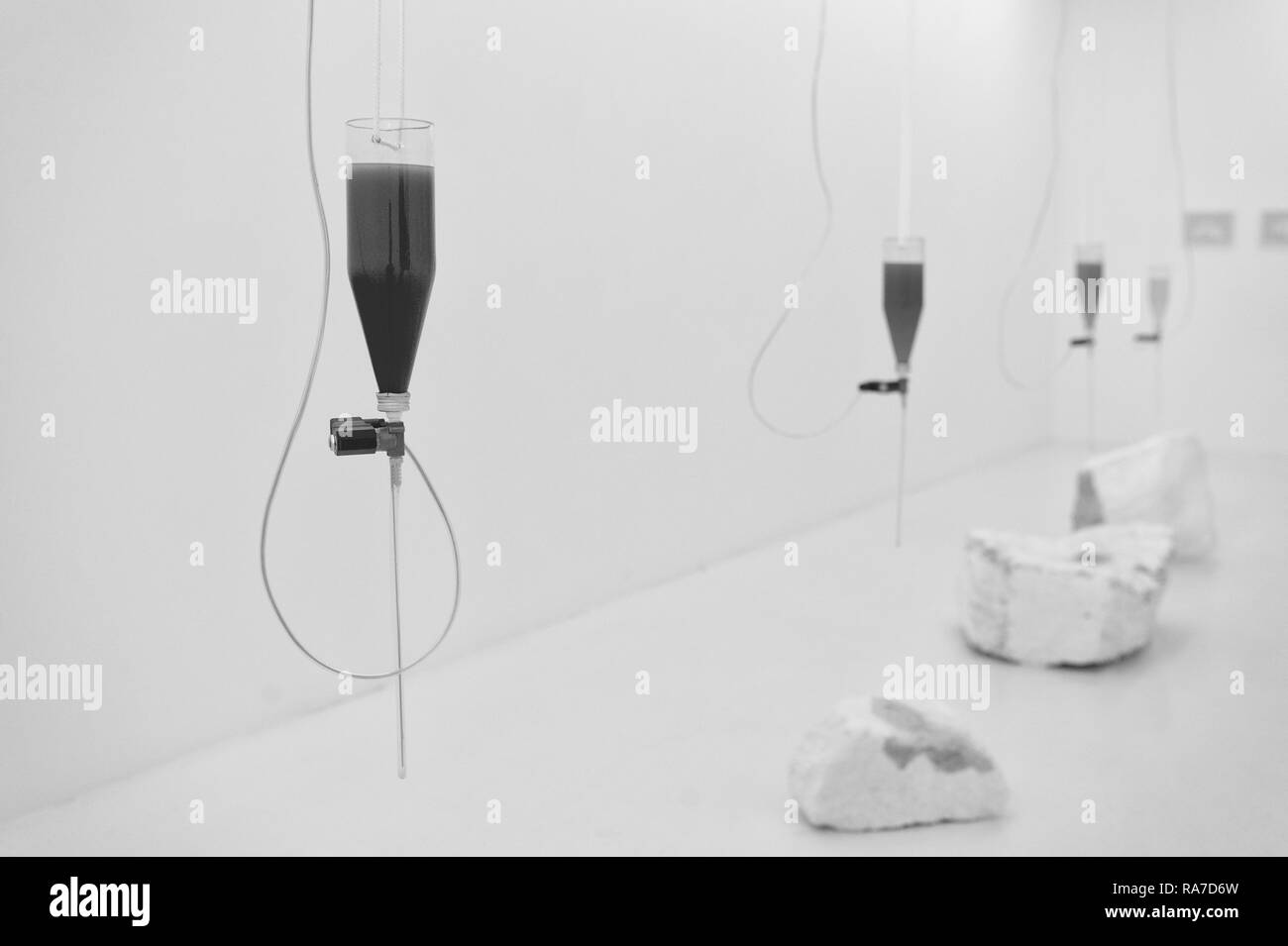 Bottle droppers colorful liquid white laboratory background. Scientific ...