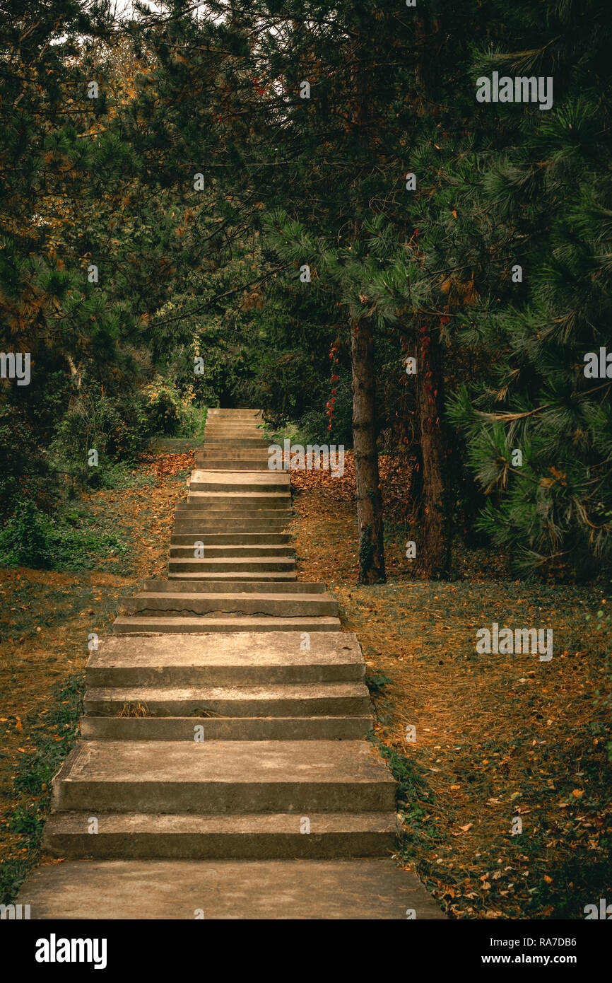 First step of stairs hi-res stock photography and images - Alamy
