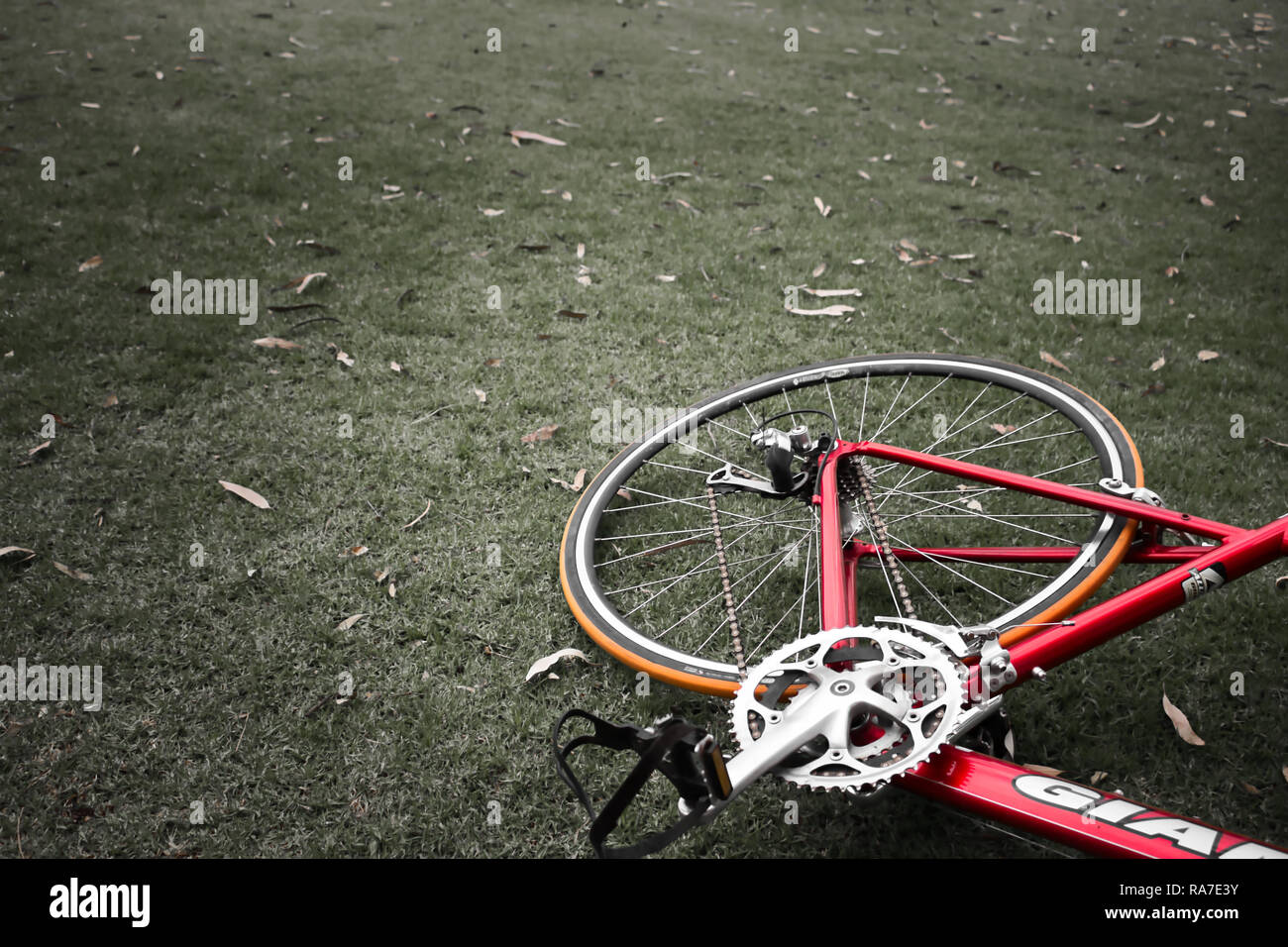 Red bike on grass Stock Photo - Alamy