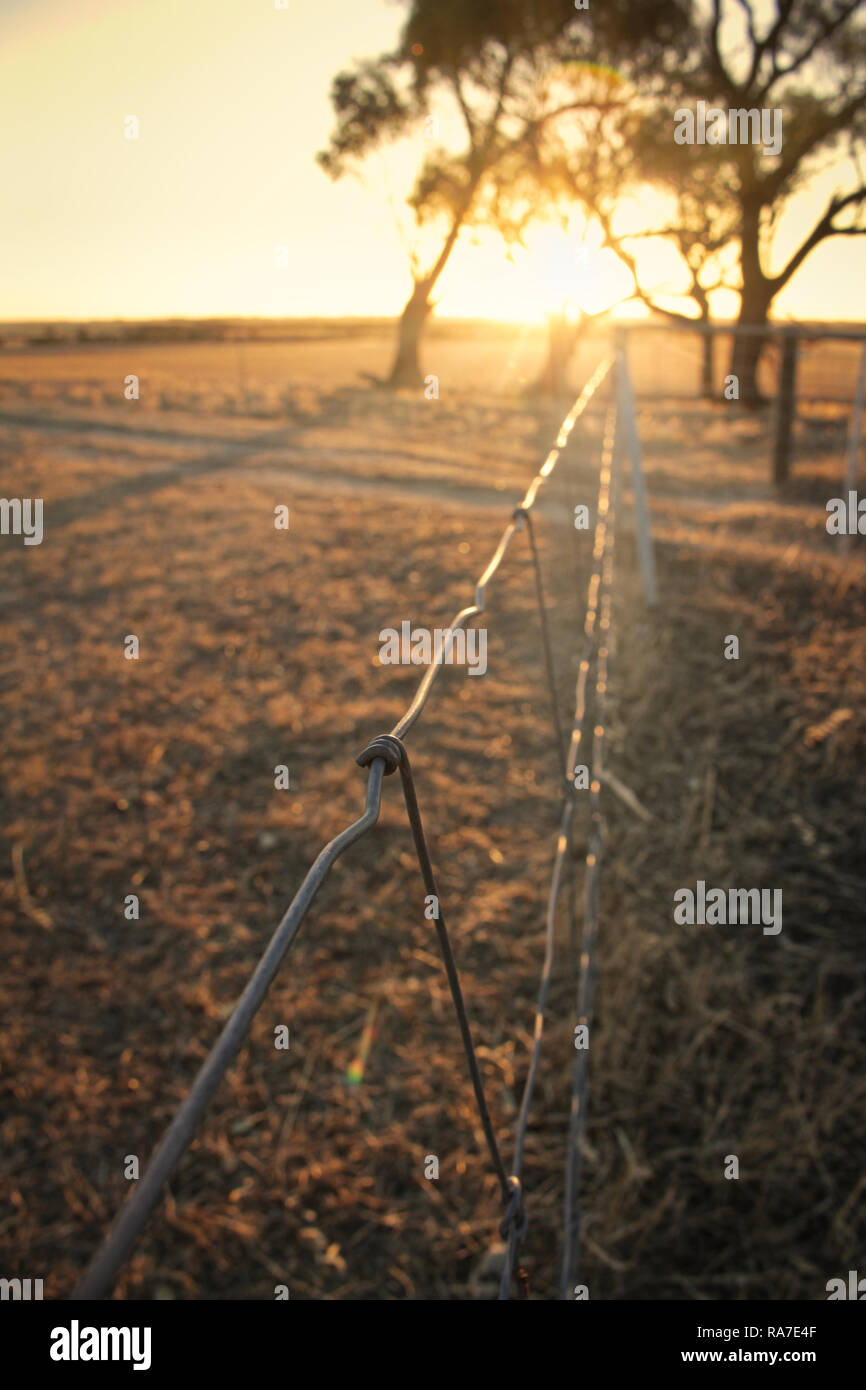 Fence line in sunset Stock Photo - Alamy