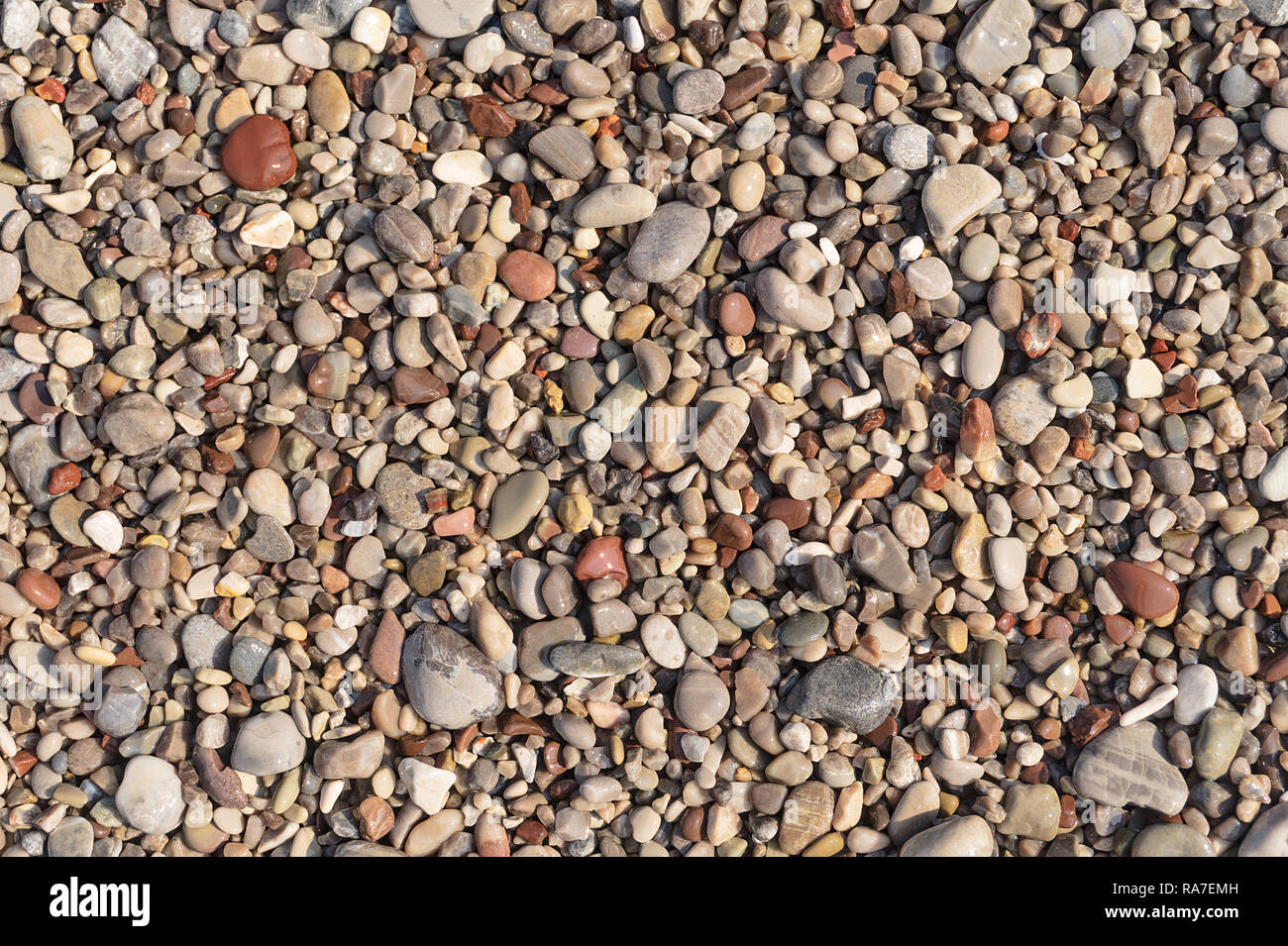 Background from small multicolored sea pebbles. Top View Stock Photo ...