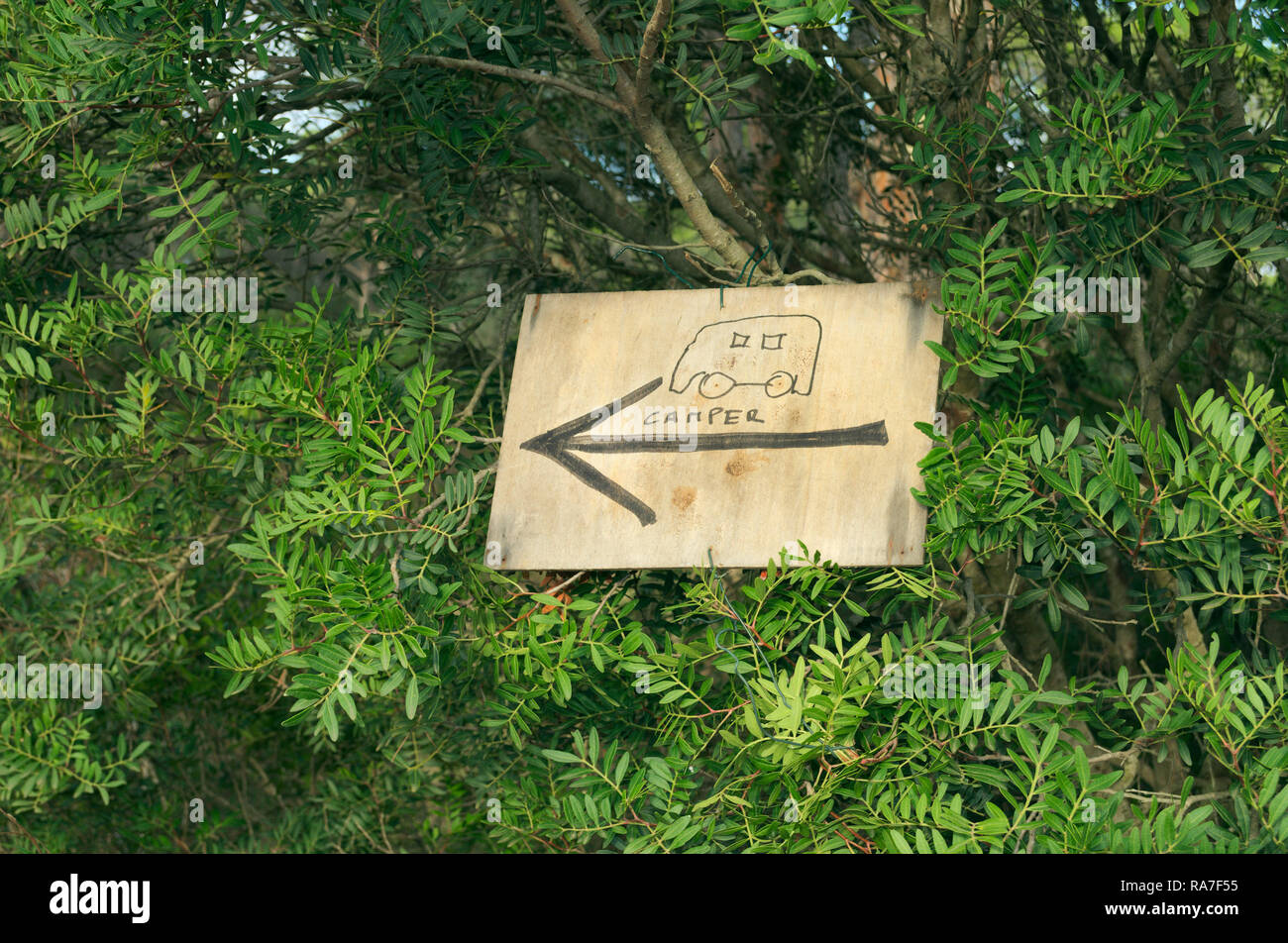 Directional sign tree hi-res stock photography and images - Alamy