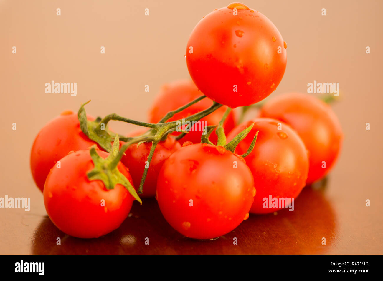 Isolated small piccolo cherry tomatoes on the vine. Perfect bite-sized ...