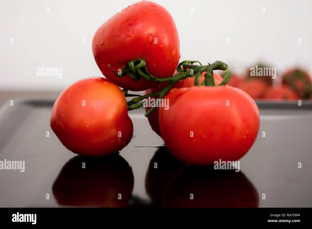 Isolated small piccolo cherry tomatoes on the vine. Perfect bite-sized ...