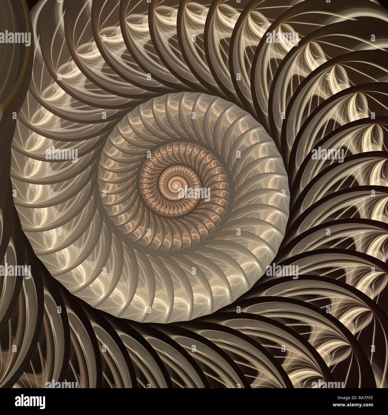 Abstract fractal spiral. Shell background, Spiral symmetry Fibonacci ... Abstract fractal spiral. Shell background, Spiral symmetry Fibonacci ...
