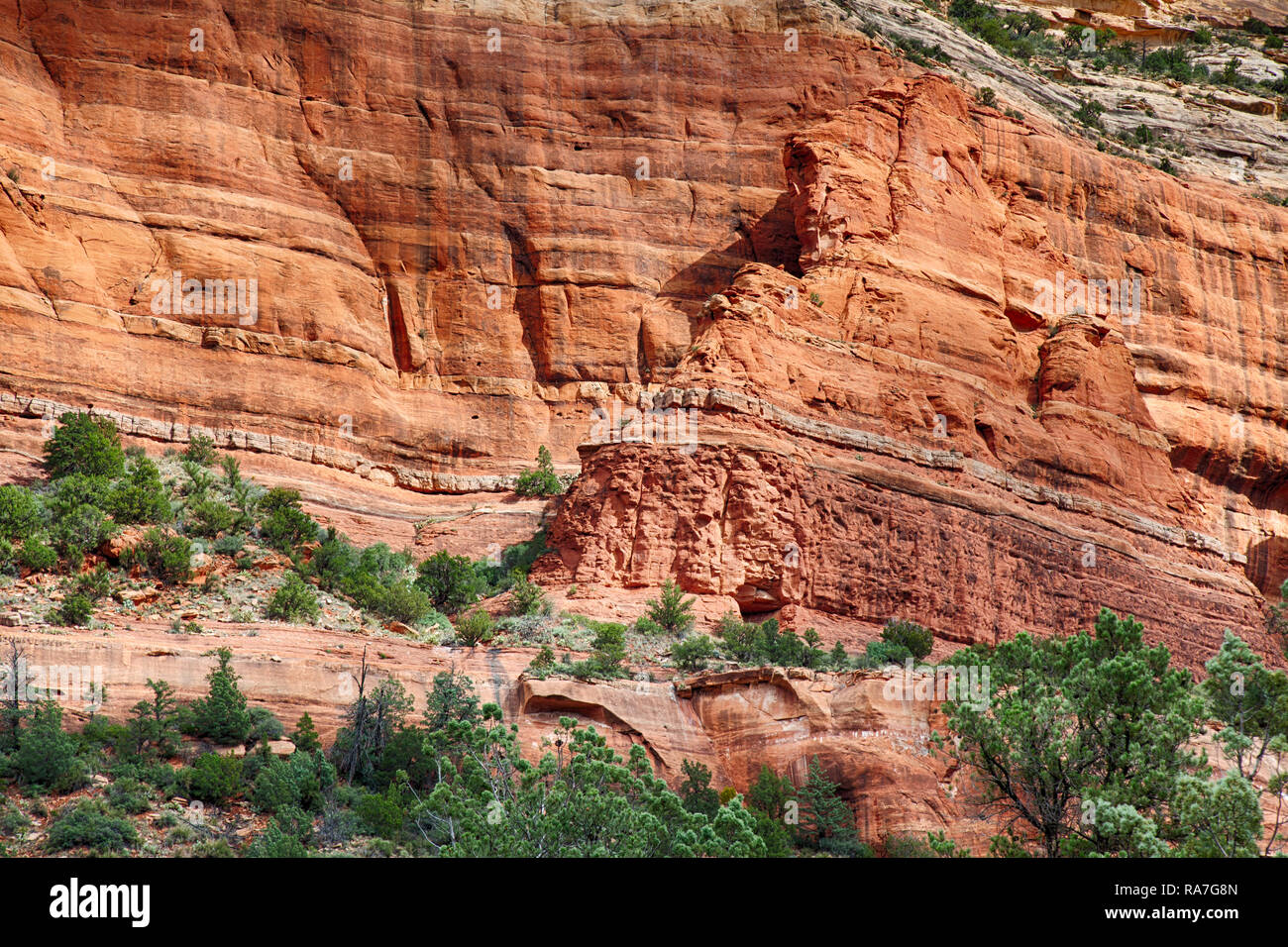 red rock formations in Sedona, Arizona USA Stock Photo - Alamy