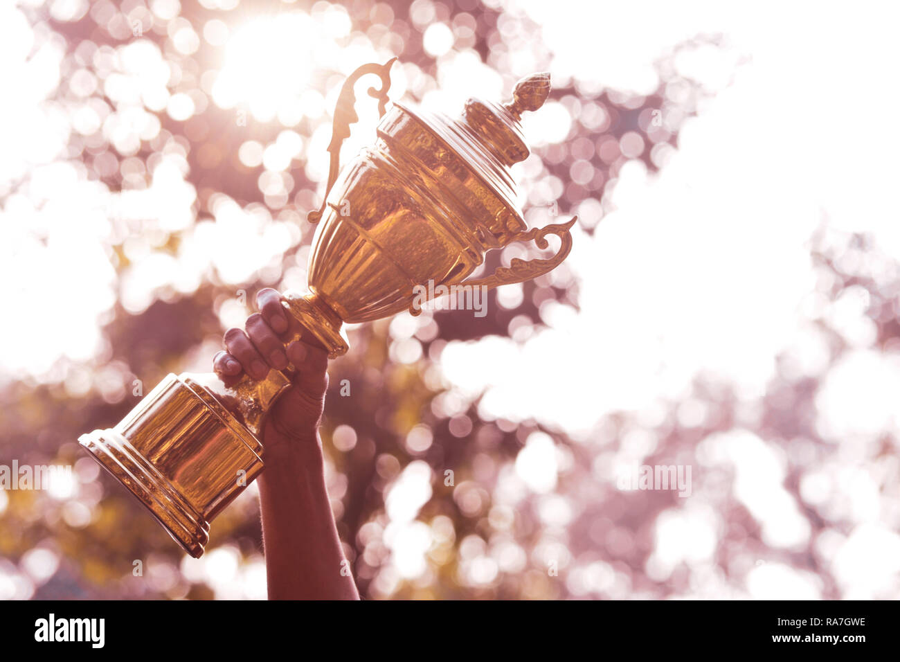 Winner concept with golden cup on Sunlight Stock Photo - Alamy