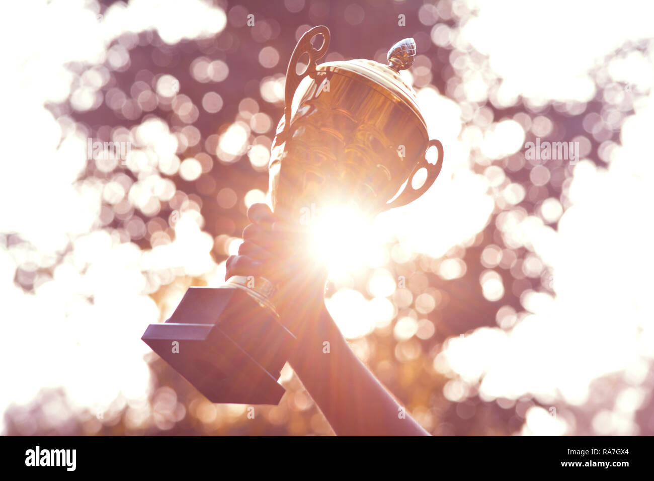 Winner concept with golden cup on Sunlight Stock Photo - Alamy