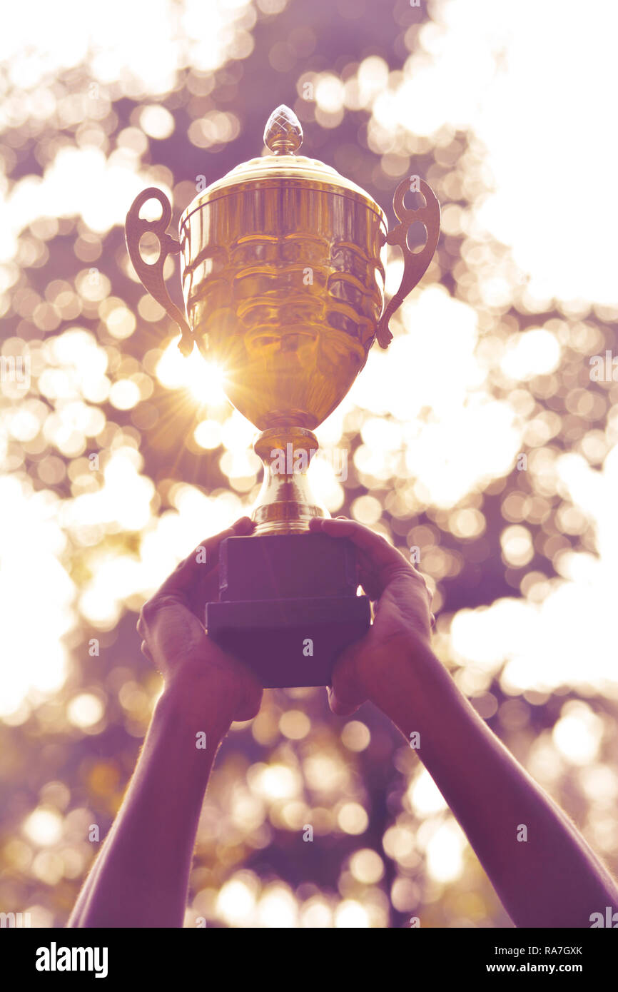 Winner concept with golden cup on Sunlight Stock Photo - Alamy