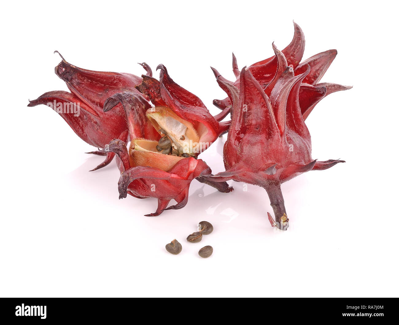 Hibiscus sabdariffa or roselle fruits Stock Photo - Alamy