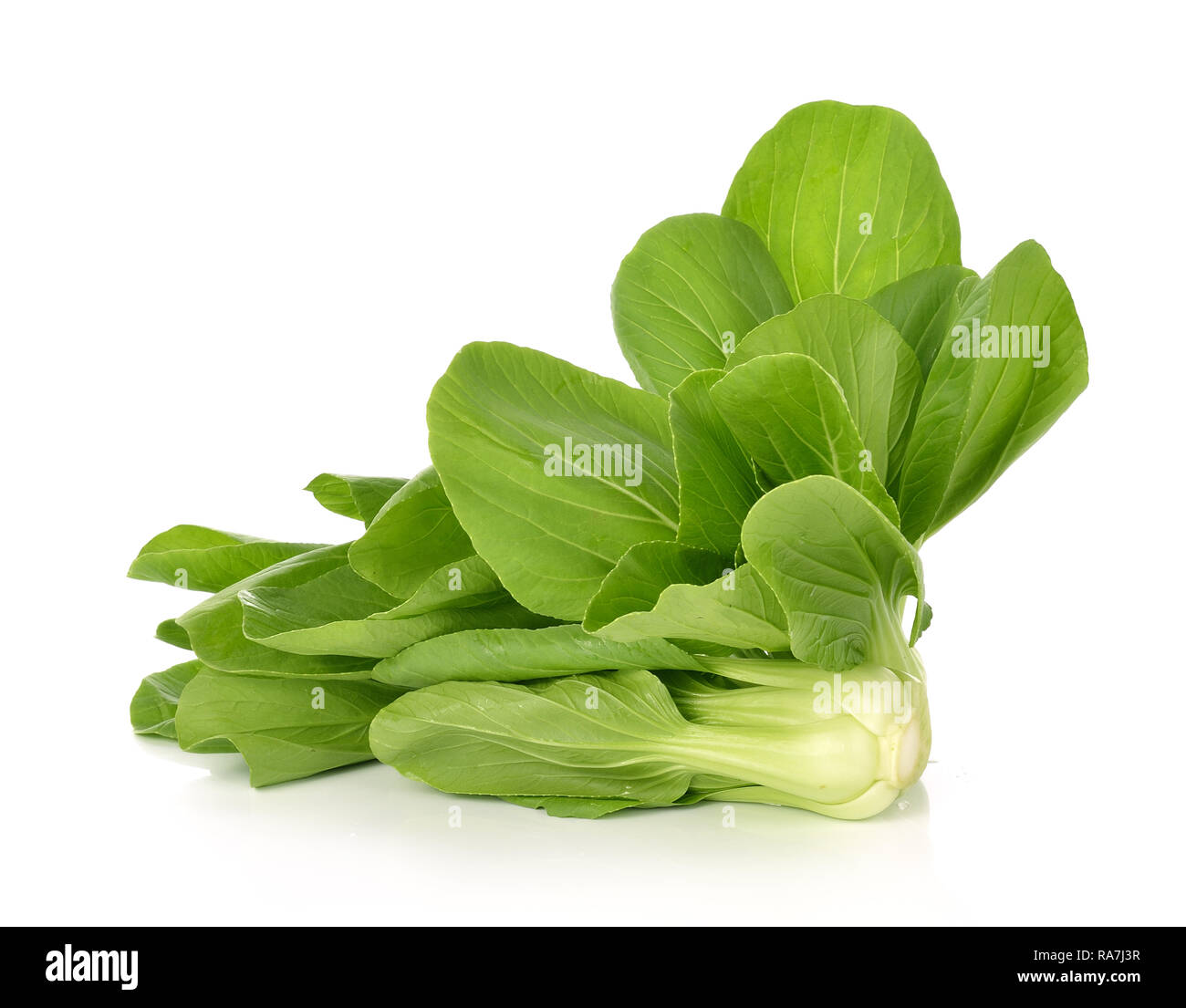 Bok choy (chinese cabbage) isolated on white Stock Photo - Alamy