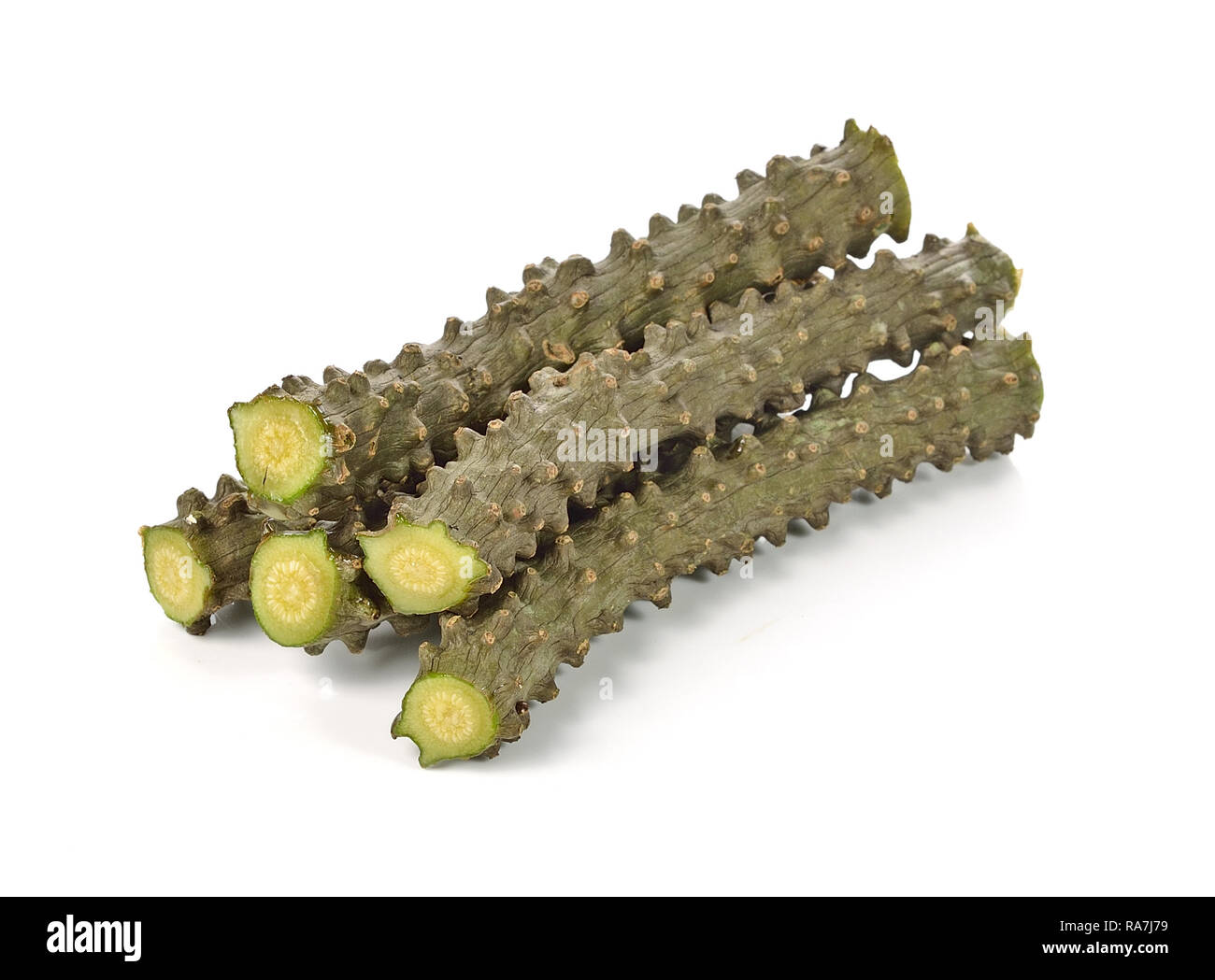 Tinospora cordifolia herb on white background Stock Photo - Alamy