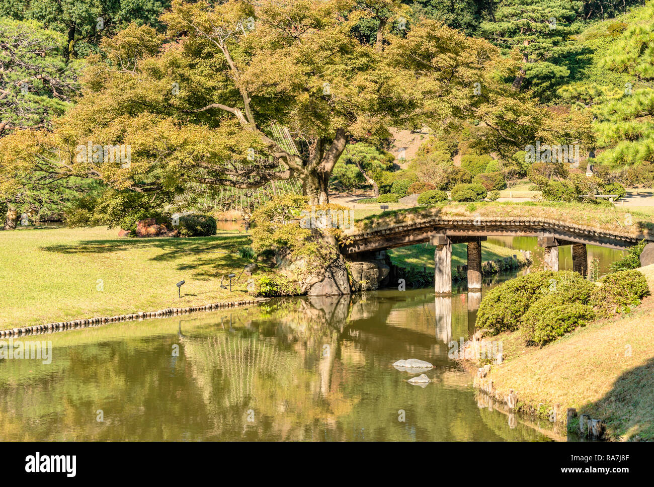 Fujinami-no-hashi bridge at Rikugien Gardens, Tokyo, Japan Stock Photo ...