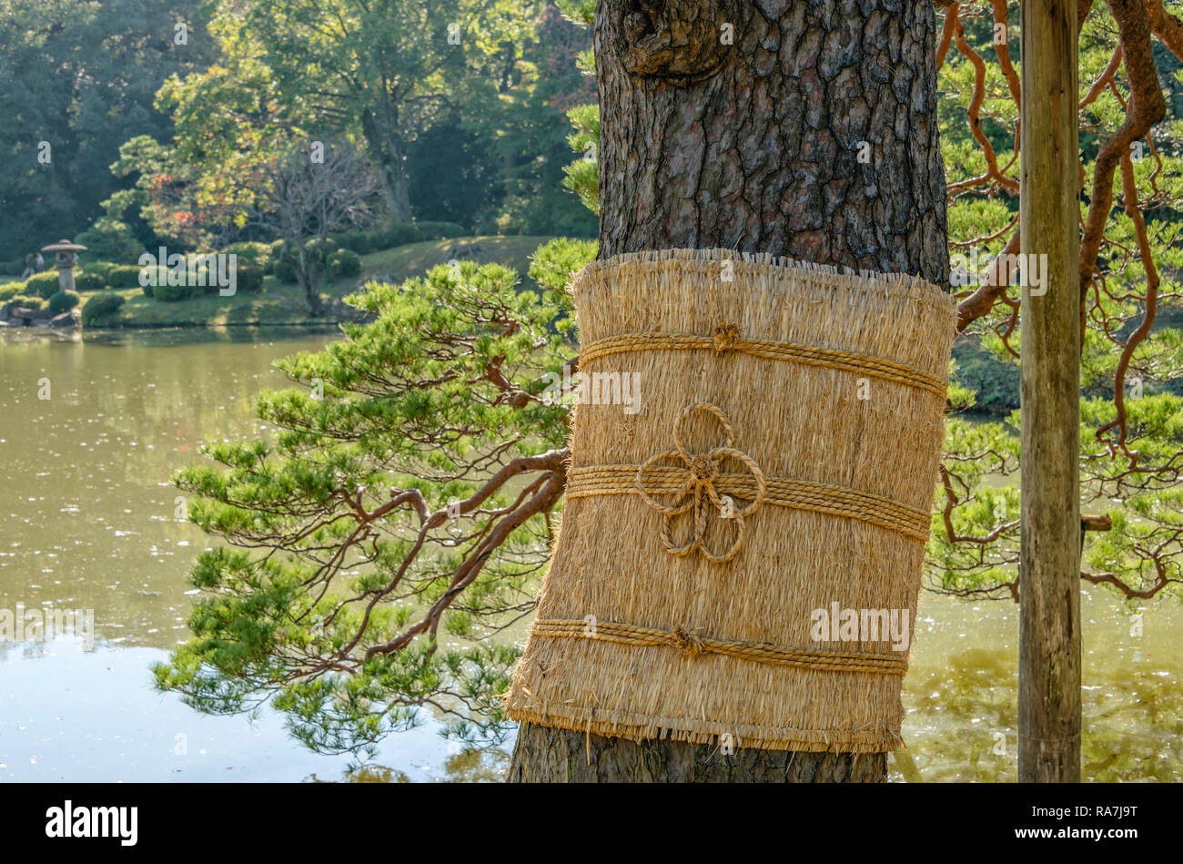 Rikugien gardens winter hi-res stock photography and images - Alamy