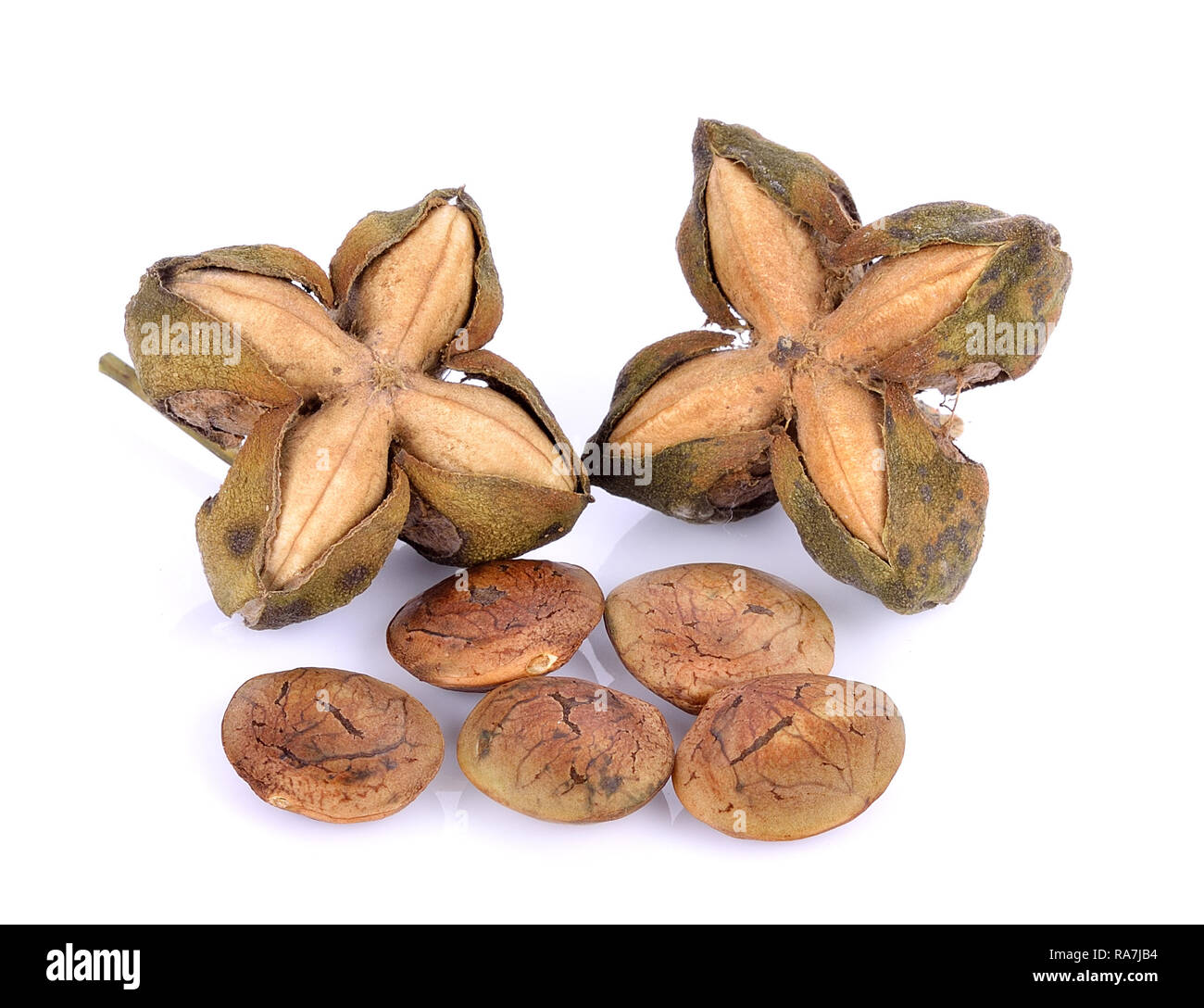 Image of sacha inchi peanut seed on white background Stock Photo - Alamy