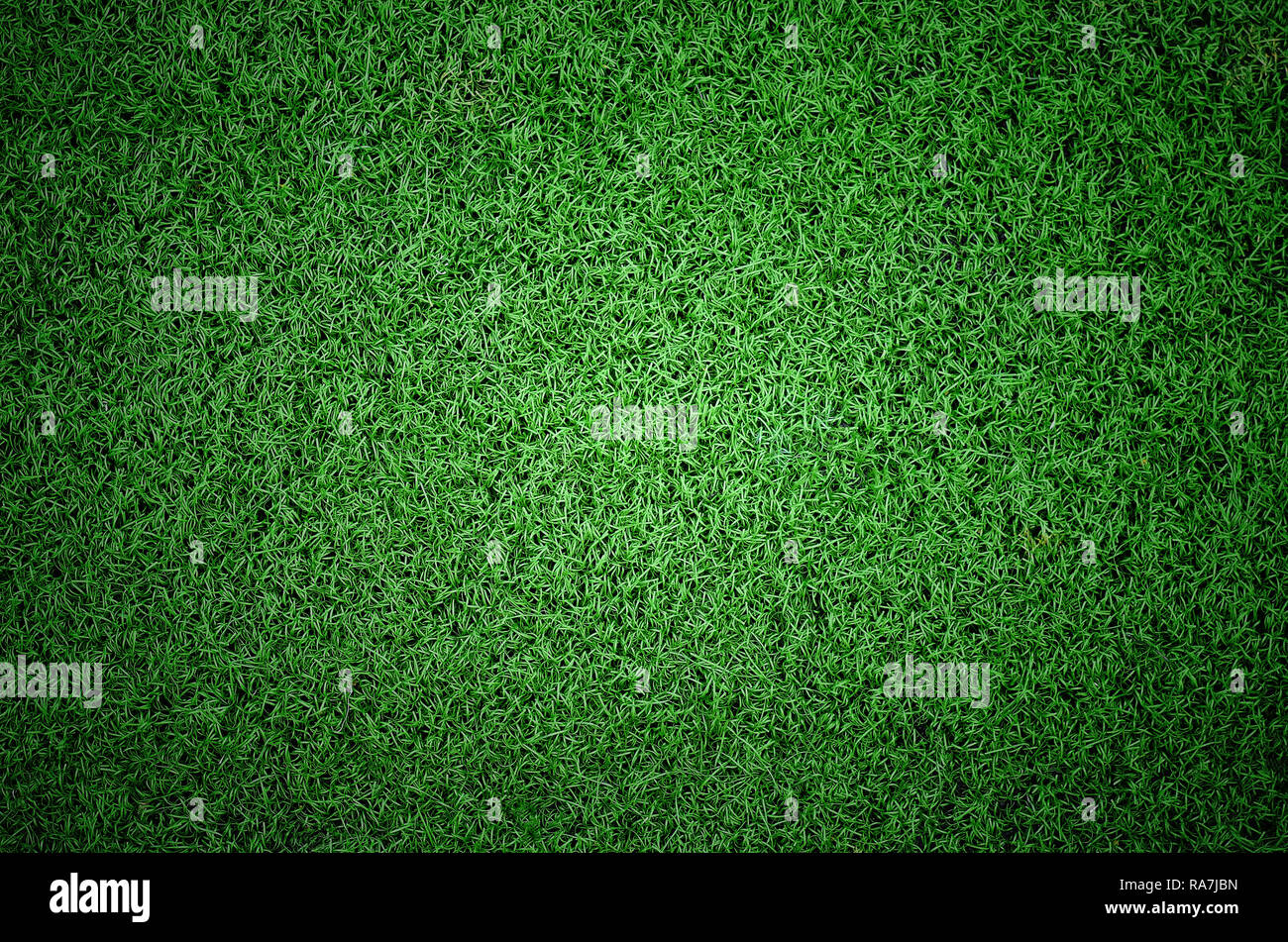 Soccer football grass field Stock Photo - Alamy