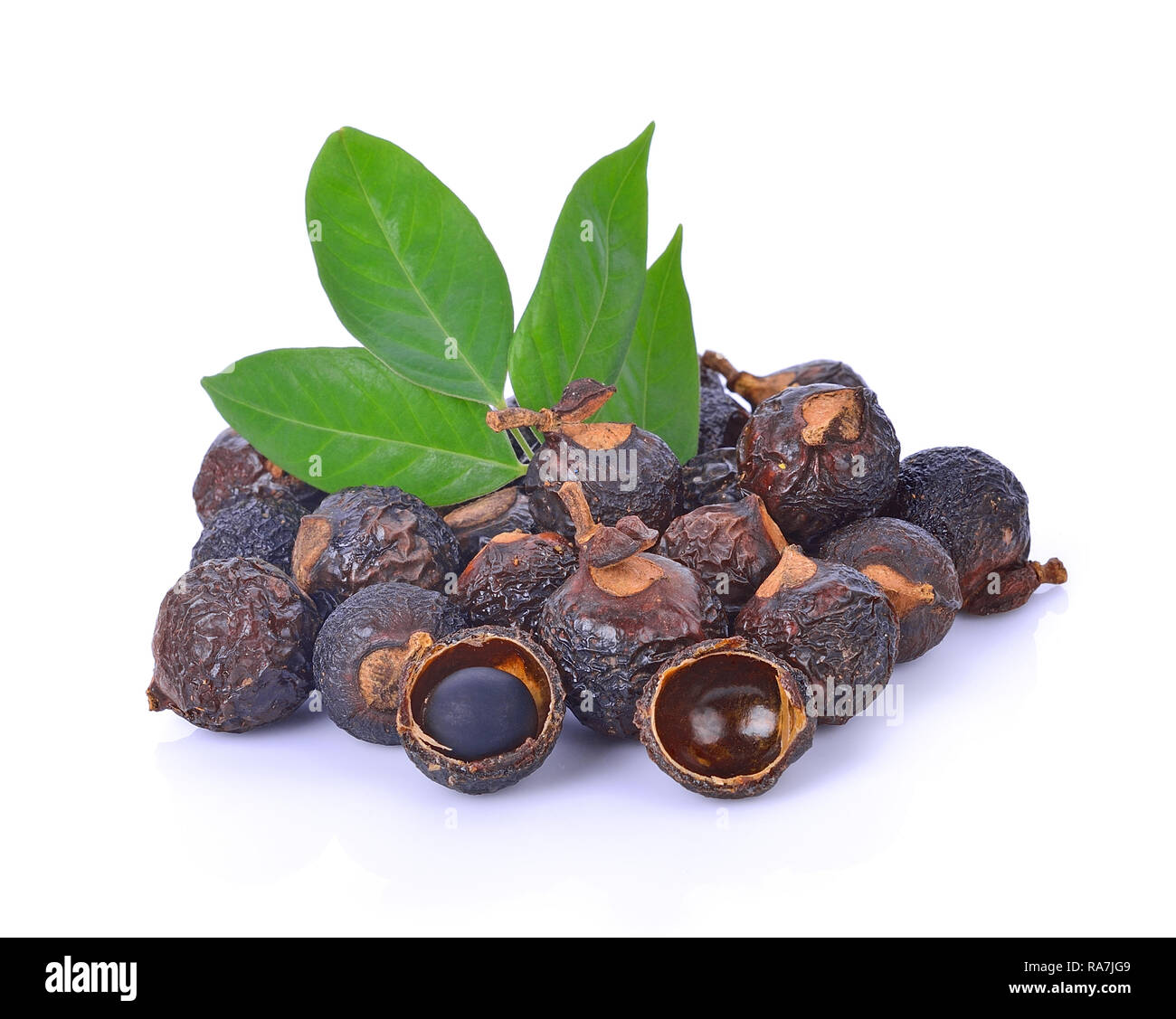 Soap nut tree isolated on white background Stock Photo - Alamy