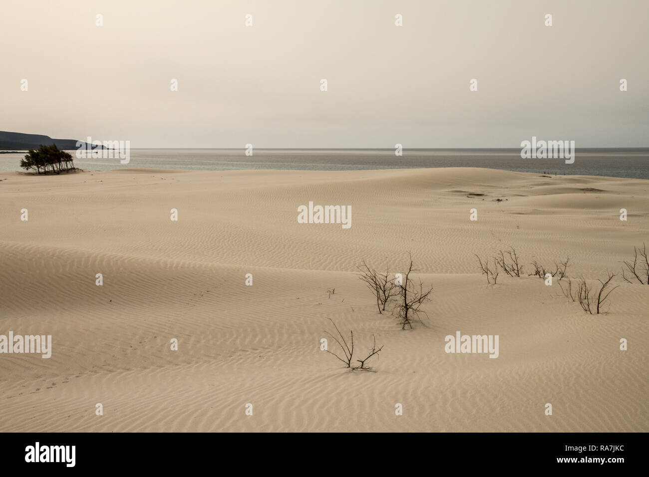 Sand dunes that are outlined forming a lunar landscape with gray Stock ...