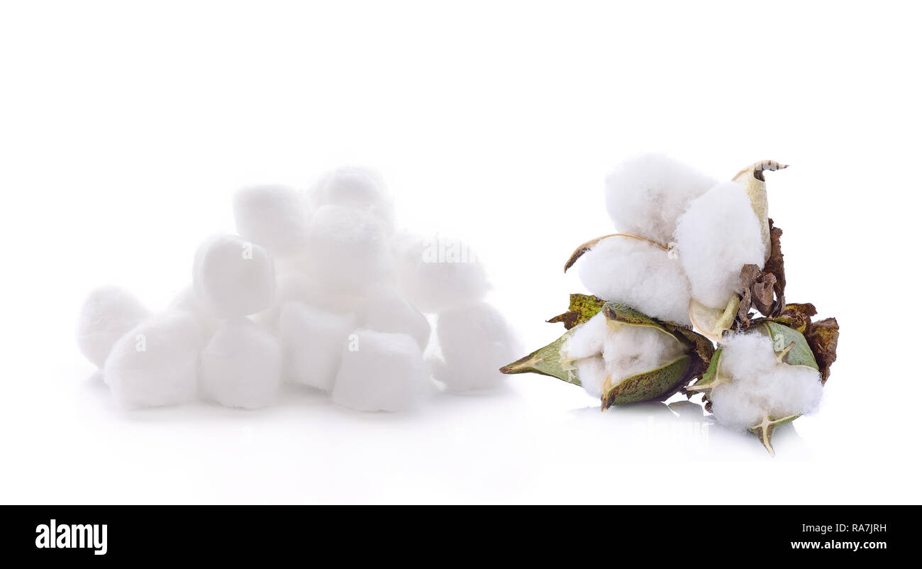 Cotton swabs on white background Stock Photo - Alamy