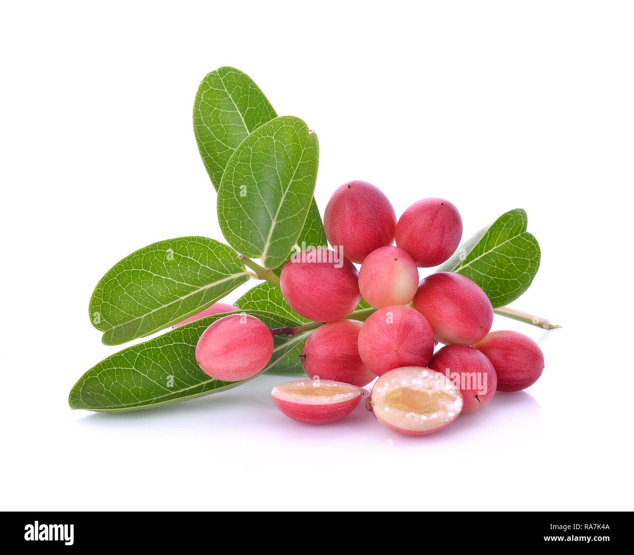 Carunda hi-res stock photography and images - Alamy