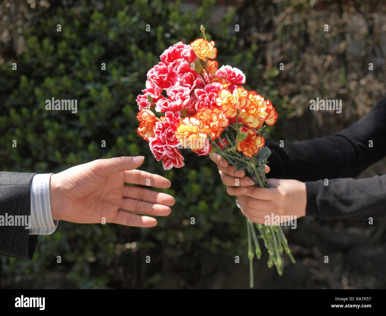 a hand to hand over a bouquet of flowers Stock Photo - Alamy