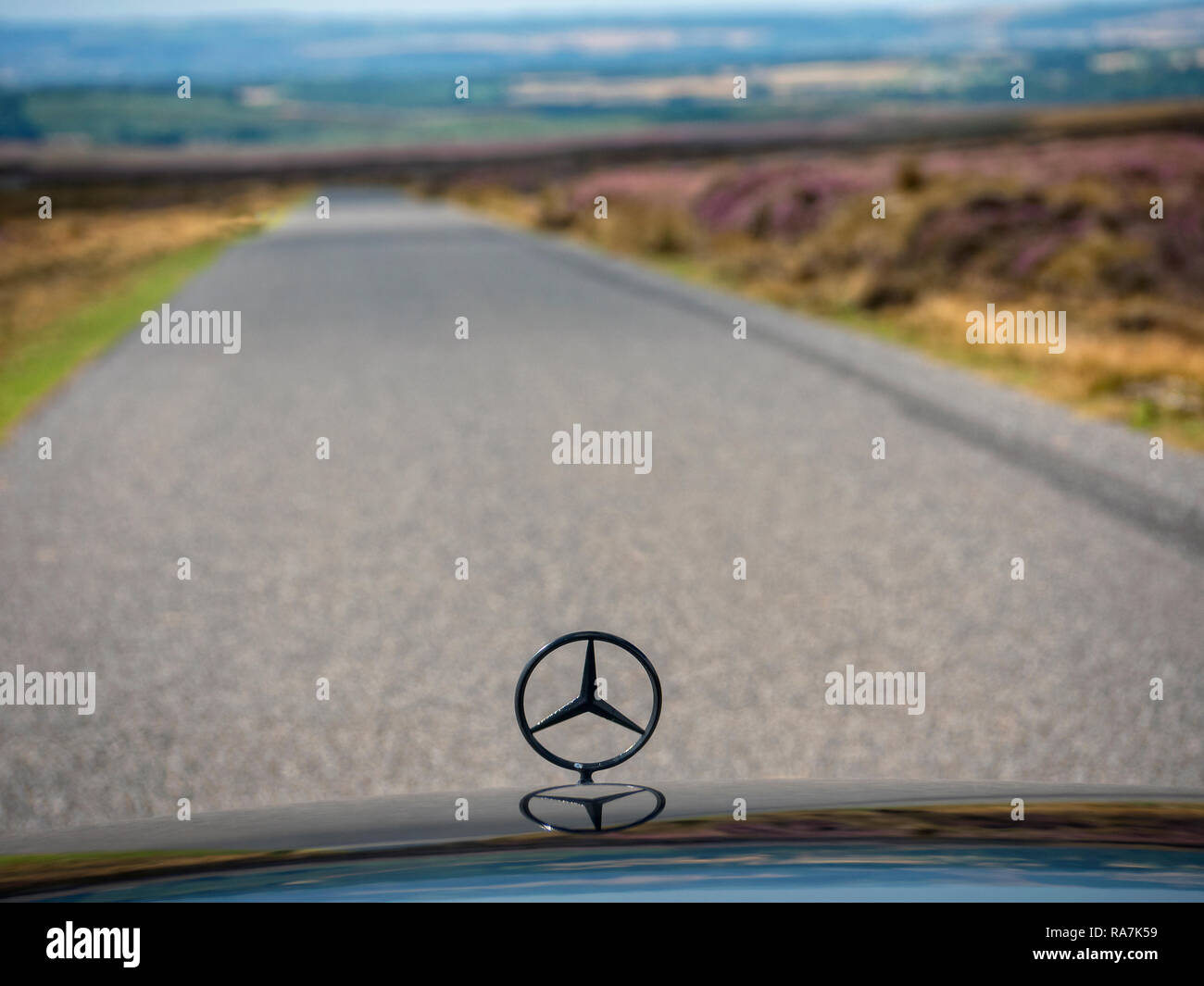 Road trip coast to coast in Ex George Harrison 1984 Mercedes Benz ...