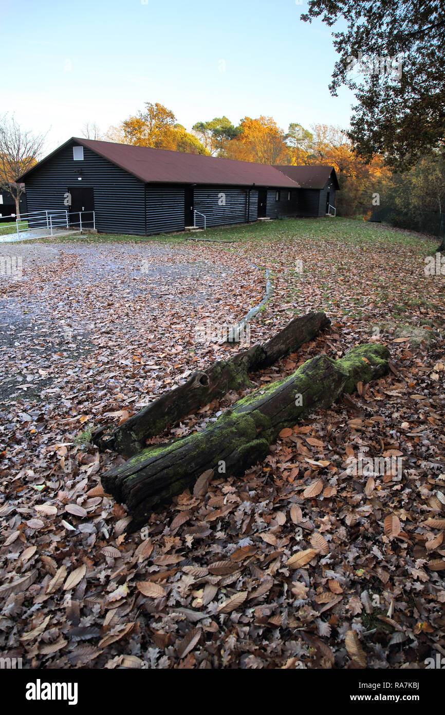Crawley West Sussex Stock Photos & Crawley West Sussex Stock Images - Alamy