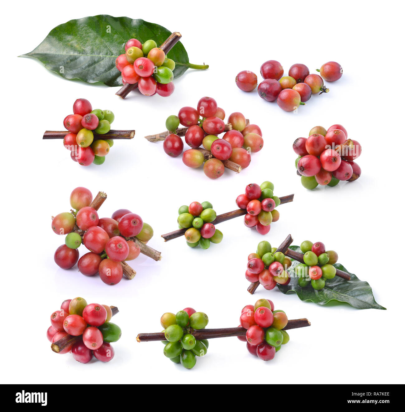 fresh coffea on white background Stock Photo - Alamy