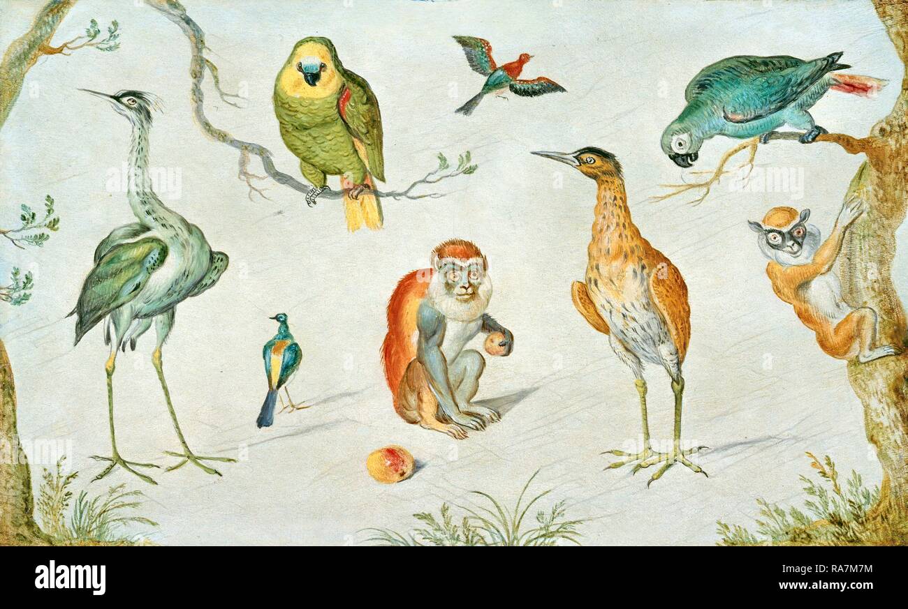 Circle of Jan van Kessel, Study of Birds and Monkeys, 1660-1670, oil on ...