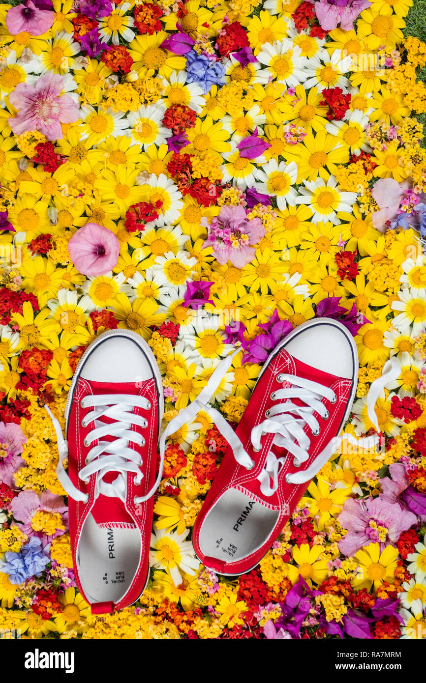 Alamy stock hi-res stock photography and images - Alamy