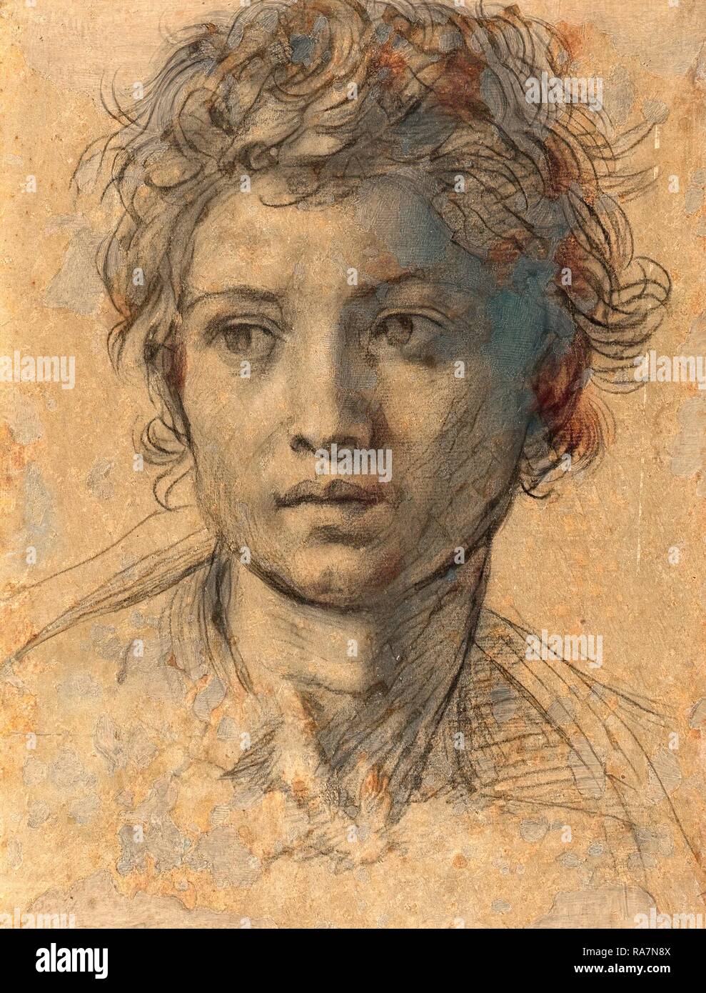 Andrea del Sarto, Italian (1486-1530), Head of Saint John the Baptist ...
