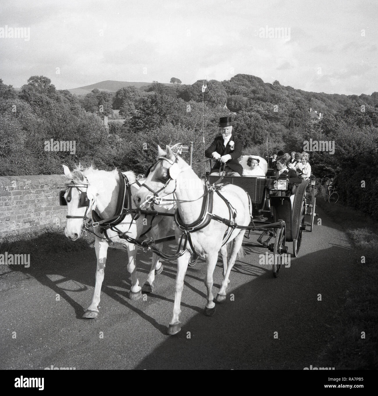 1960s wedding reception hi-res stock photography and images - Alamy