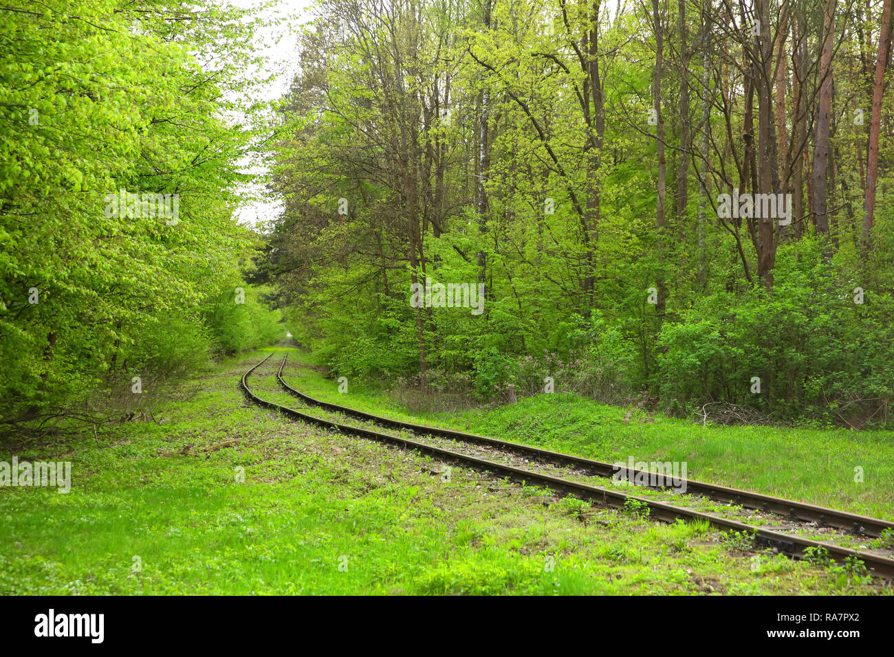 Old rusty railway track amid green forest Stock Photo - Alamy