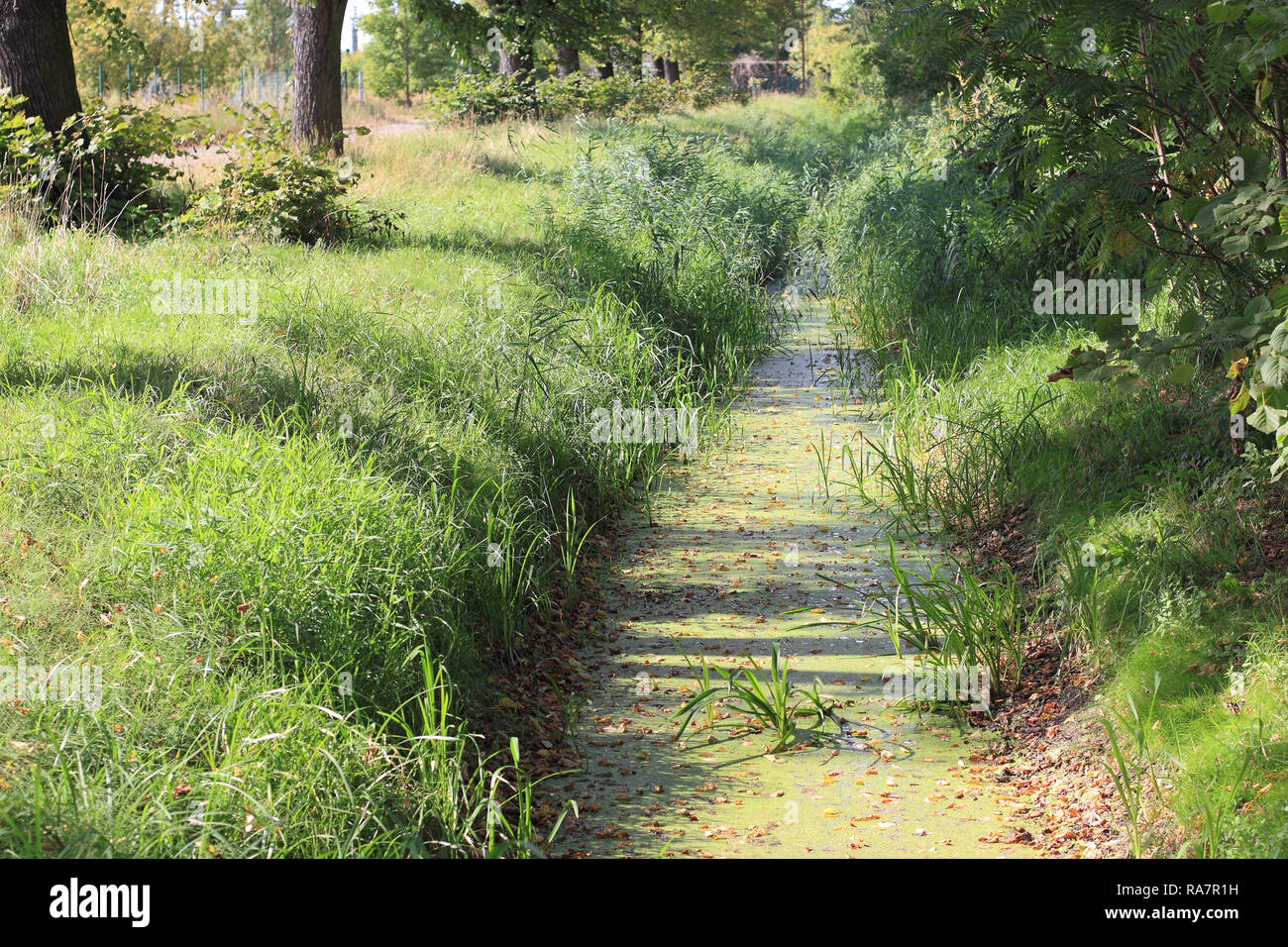 Waters moat hi-res stock photography and images - Alamy