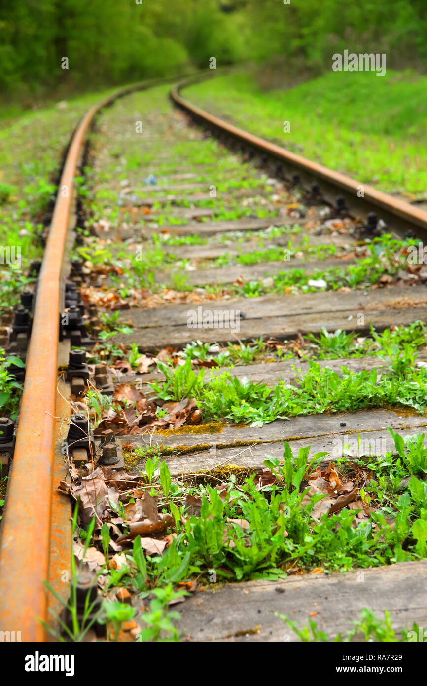 Old rusty railway track amid green forest Stock Photo - Alamy