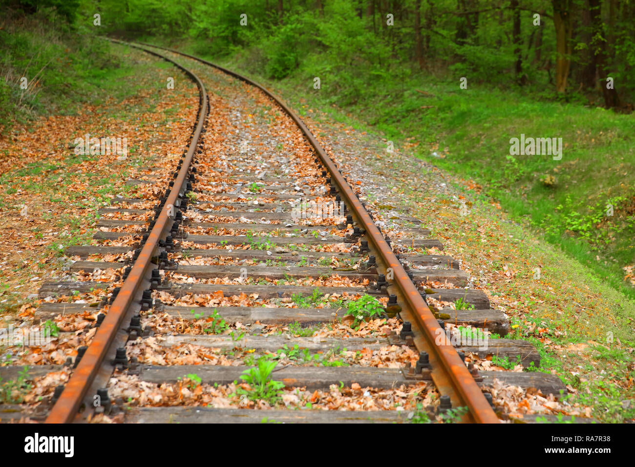 Old rusty railway track amid green forest Stock Photo - Alamy
