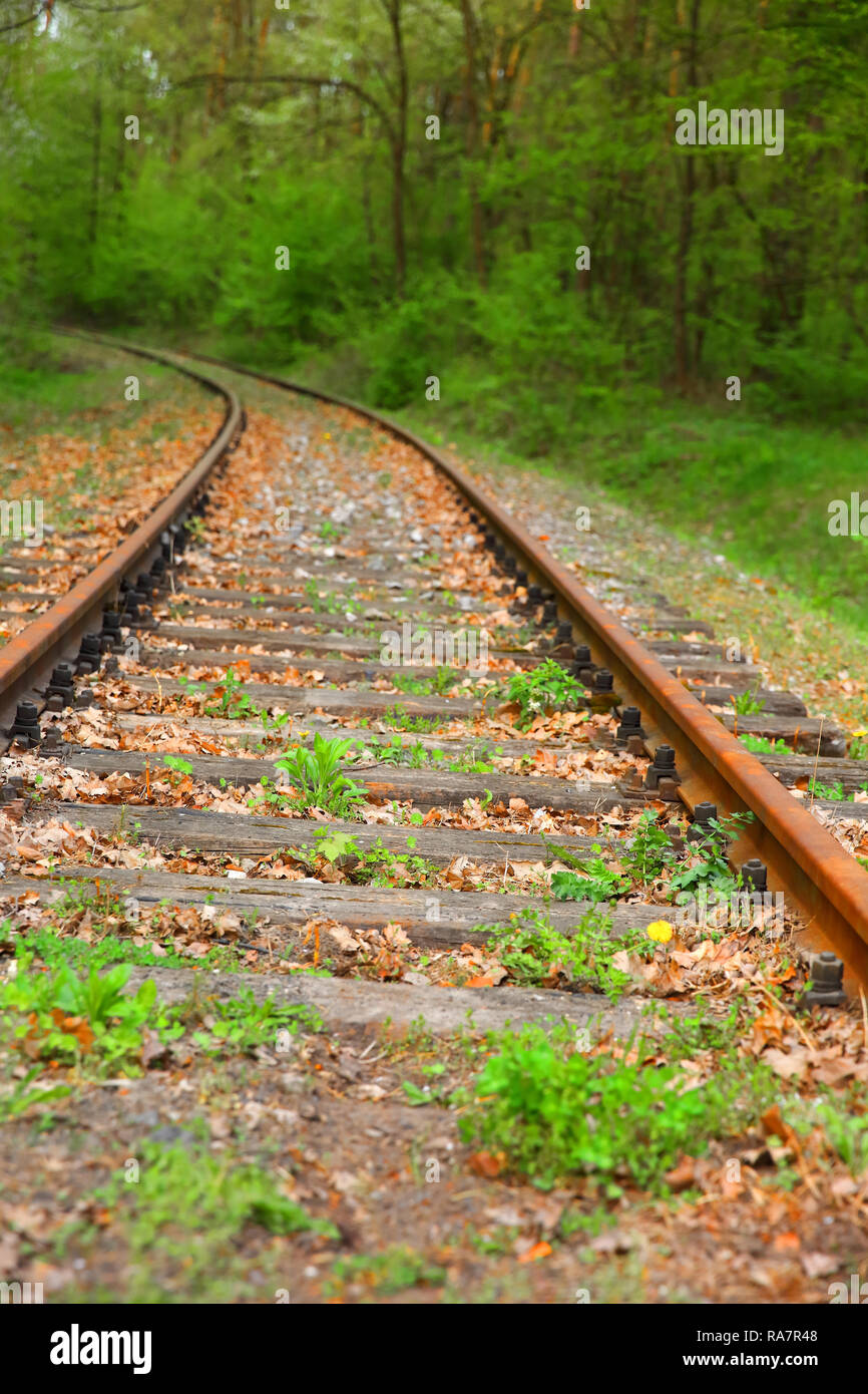 Old rusty railway track amid green forest Stock Photo - Alamy