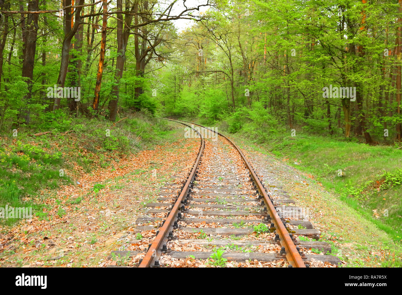 Old rusty railway track amid green forest Stock Photo - Alamy